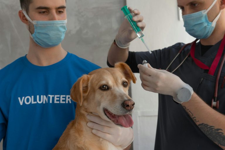 Rabies Vaccine for Dogs: Timing, Dosage, and Booster Guide - Veterinary ...